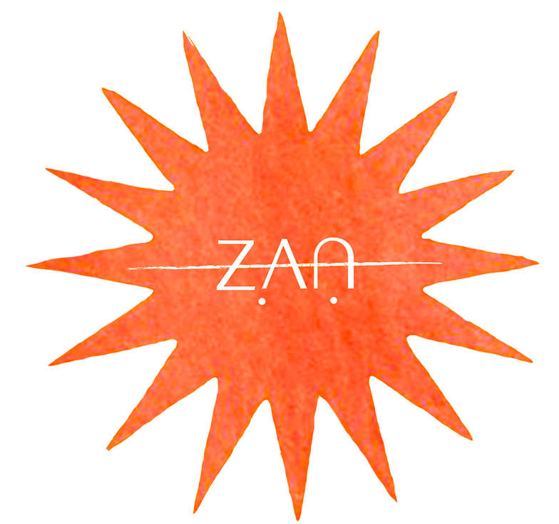 Zan Foundation - Free Support for Iranian Women in International Education